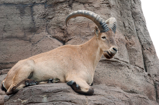 รูปภาพTur – เลือกดูภาพถ่ายสต็อก เวกเตอร์ และวิดีโอ11,816 | Adobe Stock