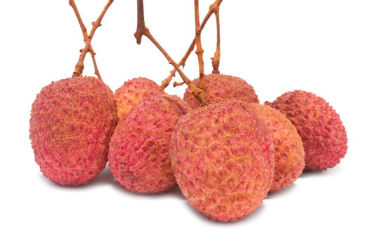 「Lichu」の写真素材 | 365件の無料イラスト画像 | Adobe Stock