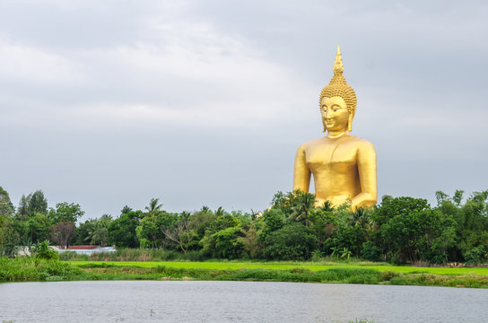 Angtong Images – Browse 61 Stock Photos, Vectors, and Video | Adobe Stock