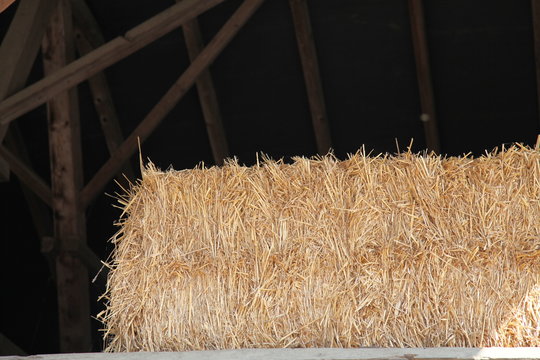 「Heuboden」の写真素材 | 184件の無料イラスト画像 | Adobe Stock