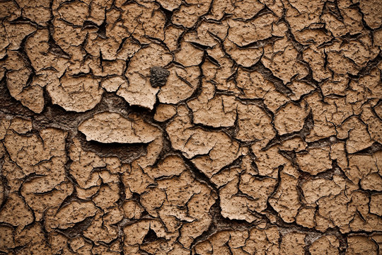 รูปภาพDisintegrate – เลือกดูภาพถ่ายสต็อก เวกเตอร์ และวิดีโอ12,259 ...