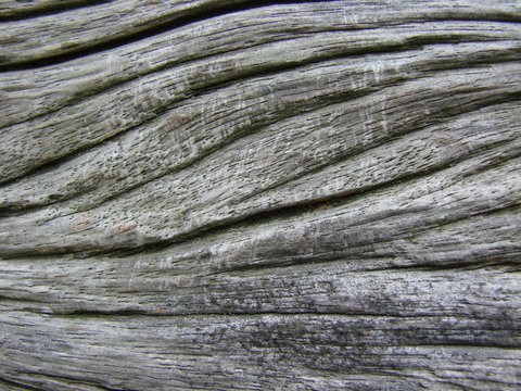 รูปภาพPlanze – เลือกดูภาพถ่ายสต็อก เวกเตอร์ และวิดีโอ1,579 | Adobe Stock