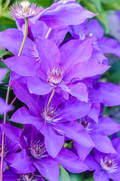 Klimatis Images – Browse 53 Stock Photos, Vectors, and Video | Adobe Stock