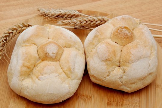 Michetta Images – Browse 783 Stock Photos, Vectors, and Video | Adobe Stock