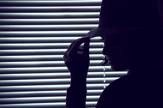 รูปภาพSnooping – เลือกดูภาพถ่ายสต็อก เวกเตอร์ และวิดีโอ3,752 | Adobe Stock