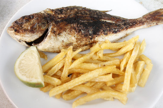 "Dorade Box" Bilder – Durchsuchen 858 Archivfotos, Vektorgrafiken und ...