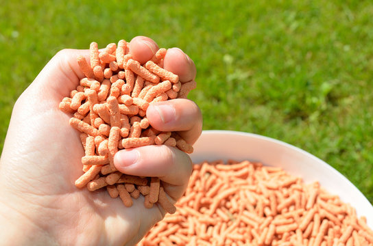 Tierfutter bilder – Bläddra bland 6,701 stockfoton, vektorer och videor ...