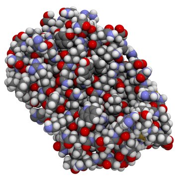 Cinnovex Images – Browse 3 Stock Photos, Vectors, and Video | Adobe Stock