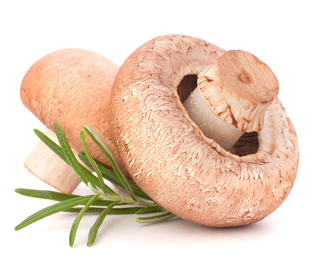 Champignons bilder – Bläddra bland 188,742 stockfoton, vektorer och ...