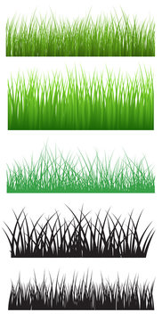 Grassline Images – Browse 153 Stock Photos, Vectors, and Video | Adobe ...