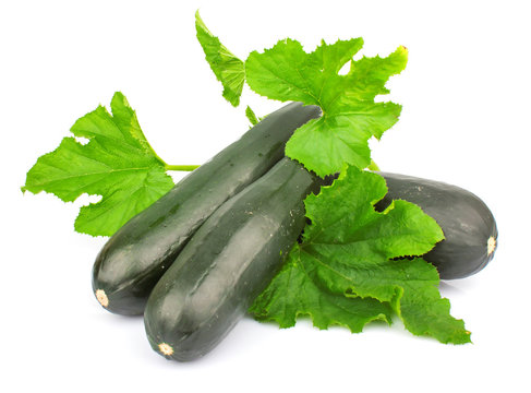 tinnko 写真、画像、アセット | Adobe Stock