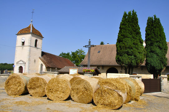 "Milieu Rural" 이미지 – 찾아보기 198 스톡 사진, 벡터 및 비디오 | Adobe Stock