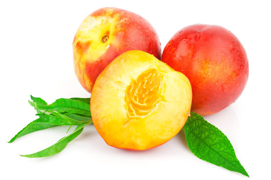 tinnko 写真、画像、アセット | Adobe Stock