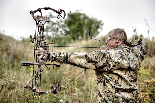 Imágenes de Chasse: descubre bancos de fotos, ilustraciones, vectores y ...