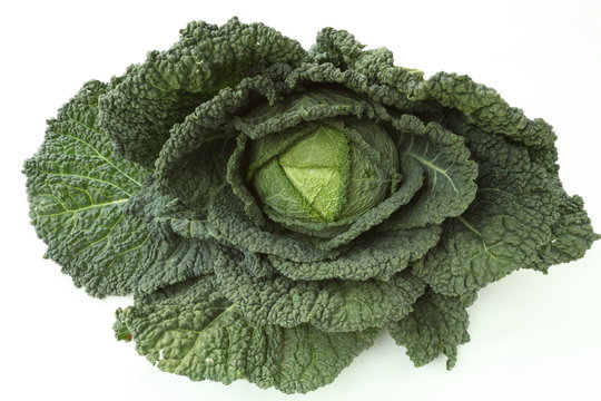 รูปภาพBraunkohl – เลือกดูภาพถ่ายสต็อก เวกเตอร์ และวิดีโอ118,821 | Adobe ...