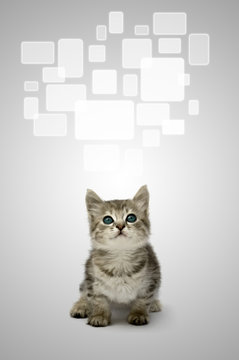 Toch Images – Parcourir 840 le catalogue de photos, vecteurs et vidéos ...