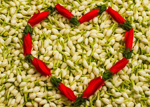 Exoras Images – Browse 28 Stock Photos, Vectors, and Video | Adobe Stock