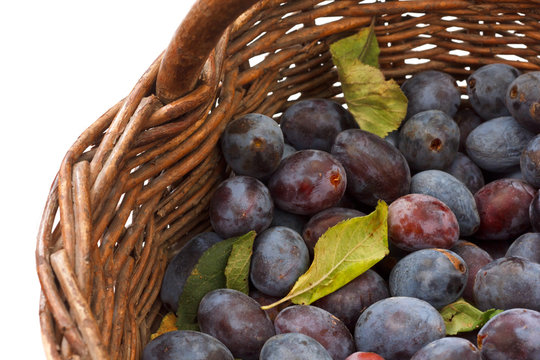 รูปภาพFarden – เลือกดูภาพถ่ายสต็อก เวกเตอร์ และวิดีโอ156 | Adobe Stock