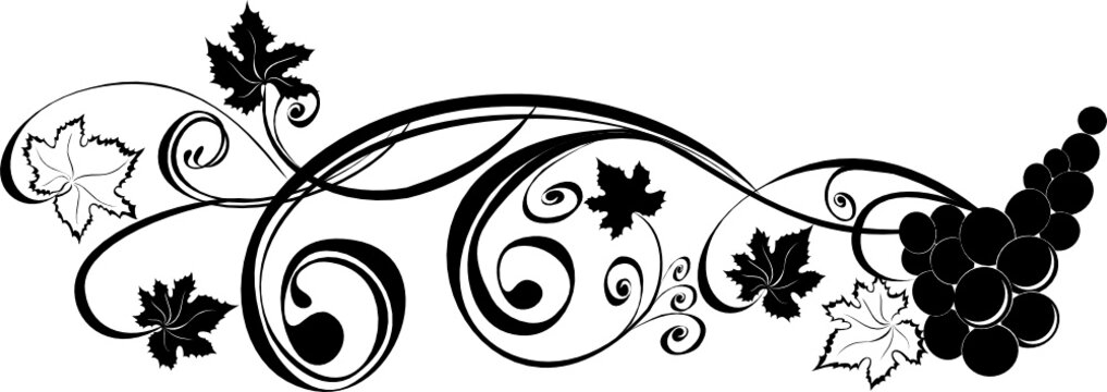 Grapevine Images – Browse 1,259,774 Stock Photos, Vectors, and Video ...