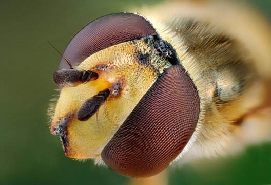 รูปภาพSirfide – เลือกดูภาพถ่ายสต็อก เวกเตอร์ และวิดีโอ141 | Adobe Stock