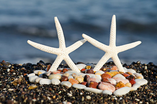 รูปภาพOcolus – เลือกดูภาพถ่ายสต็อก เวกเตอร์ และวิดีโอ156 | Adobe Stock