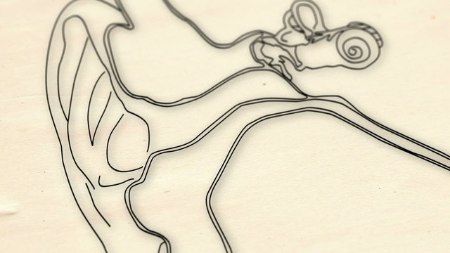 Audiology Images – Browse 15,136 Stock Photos, Vectors, and Video ...