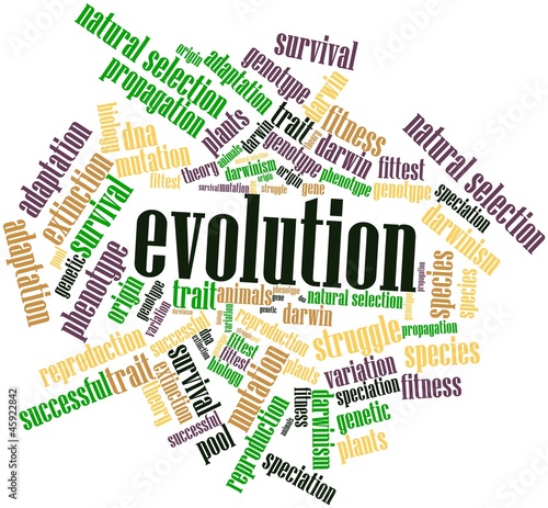 "Word cloud for Evolution" Stock photo and royalty-free images on ...