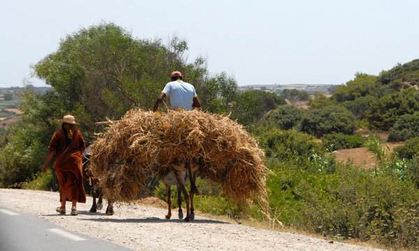 Fouin Images – Browse 33 Stock Photos, Vectors, and Video | Adobe Stock