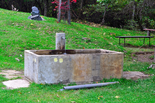 Trogolo bilder – Bläddra bland 12 stockfoton, vektorer och videor ...