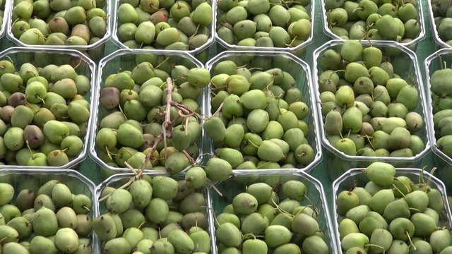 Kiwee Images – Browse 77 Stock Photos, Vectors, and Video | Adobe Stock