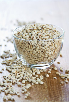 รูปภาพAdlay – เลือกดูภาพถ่ายสต็อก เวกเตอร์ และวิดีโอ2,955 | Adobe Stock