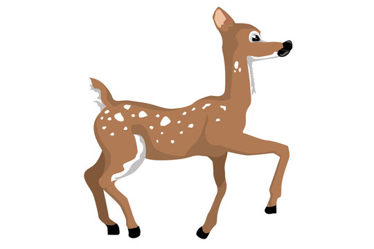 Rehbock Clipart Fish