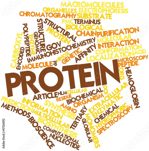 "Word cloud for Protein" Stock photo and royalty-free images on Fotolia ...