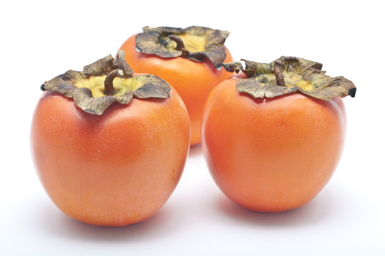 รูปภาพCachi – เลือกดูภาพถ่ายสต็อก เวกเตอร์ และวิดีโอ2,742 | Adobe Stock