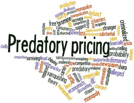 Predatory Pricing Examples