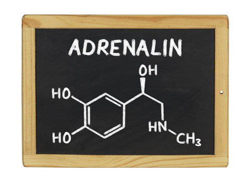 รูปภาพAdrenalin – เลือกดูภาพถ่ายสต็อก เวกเตอร์ และวิดีโอ177,264 | Adobe ...