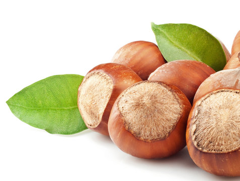 รูปภาพFilbert – เลือกดูภาพถ่ายสต็อก เวกเตอร์ และวิดีโอ80,039 | Adobe Stock