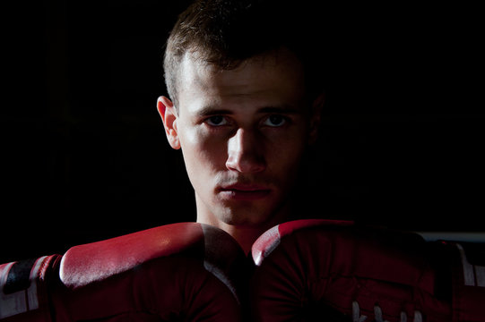 Boxer Face Images – Browse 31,583 Stock Photos, Vectors, and Video ...