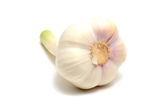Knoblauch-Knolle Images – Browse 9 Stock Photos, Vectors, and Video ...
