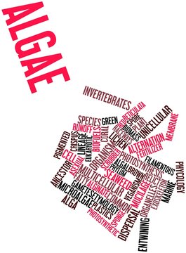 Doth Images – Browse 40 Stock Photos, Vectors, and Video | Adobe Stock