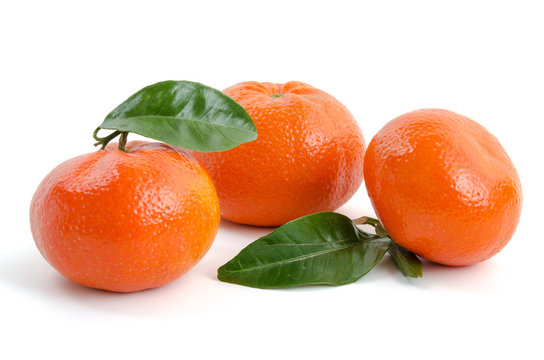 「Clementinen」の写真素材 | 1,644件の無料イラスト画像 | Adobe Stock