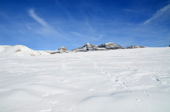 Nieve Images – Browse 97,306 Stock Photos, Vectors, and Video | Adobe Stock