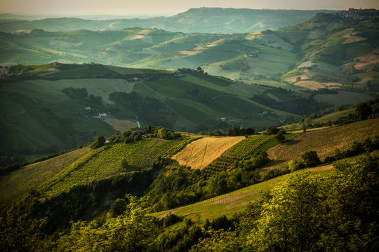 Imágenes de Colline: descubre bancos de fotos, ilustraciones, vectores ...