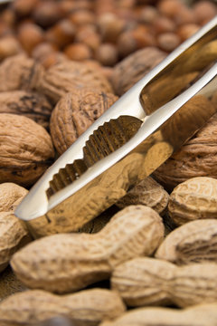 Nussarten Images – Browse 27 Stock Photos, Vectors, and Video | Adobe Stock