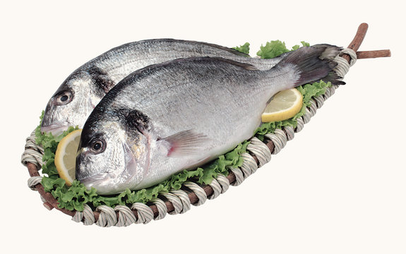 รูปภาพOrata – เลือกดูภาพถ่ายสต็อก เวกเตอร์ และวิดีโอ72,645 | Adobe Stock