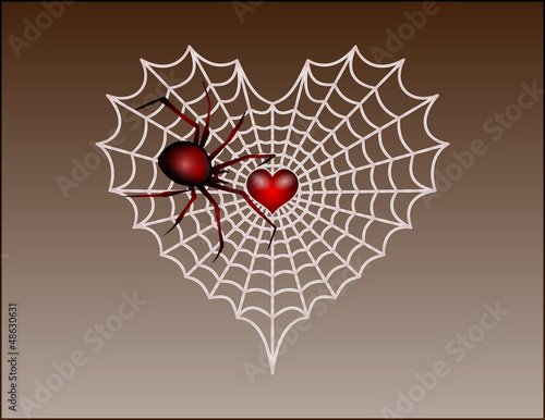 "vector of a Valentine's Day heart shaped spider web" Stock image and ...