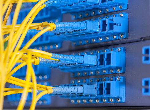 Roughage Images – Browse 125,733 Stock Photos, Vectors, and Video ...