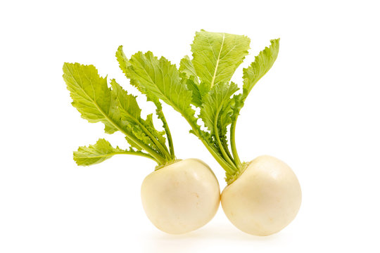 Majrova bilder – Bläddra bland 50,495 stockfoton, vektorer och videor ...