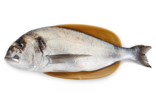 รูปภาพOrata – เลือกดูภาพถ่ายสต็อก เวกเตอร์ และวิดีโอ72,645 | Adobe Stock