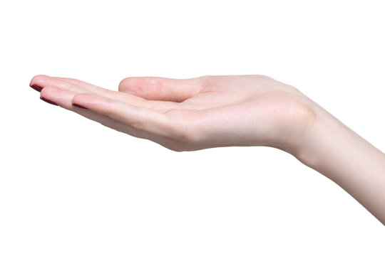 รูปภาพNail-Design – เลือกดูภาพถ่ายสต็อก เวกเตอร์ และวิดีโอ763 | Adobe Stock